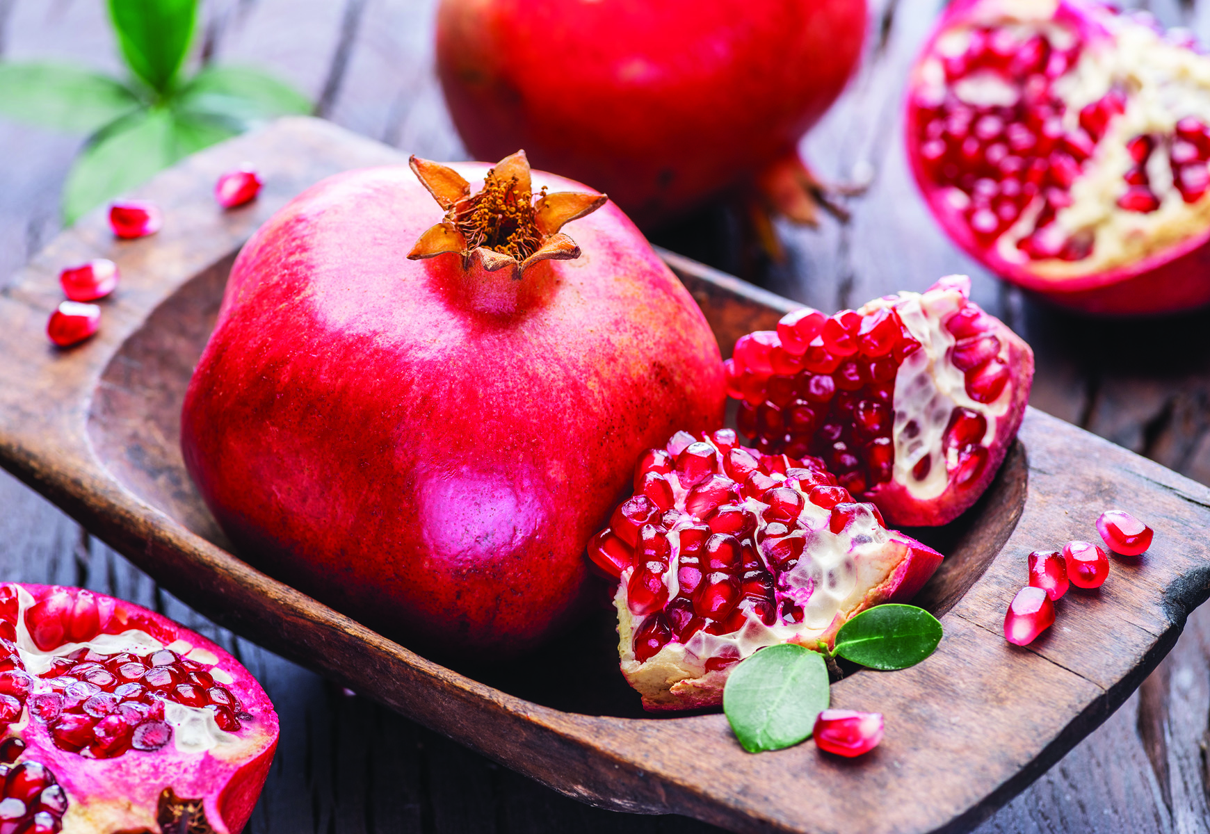 How to Grow Pomegranates From Cuttings - Grit